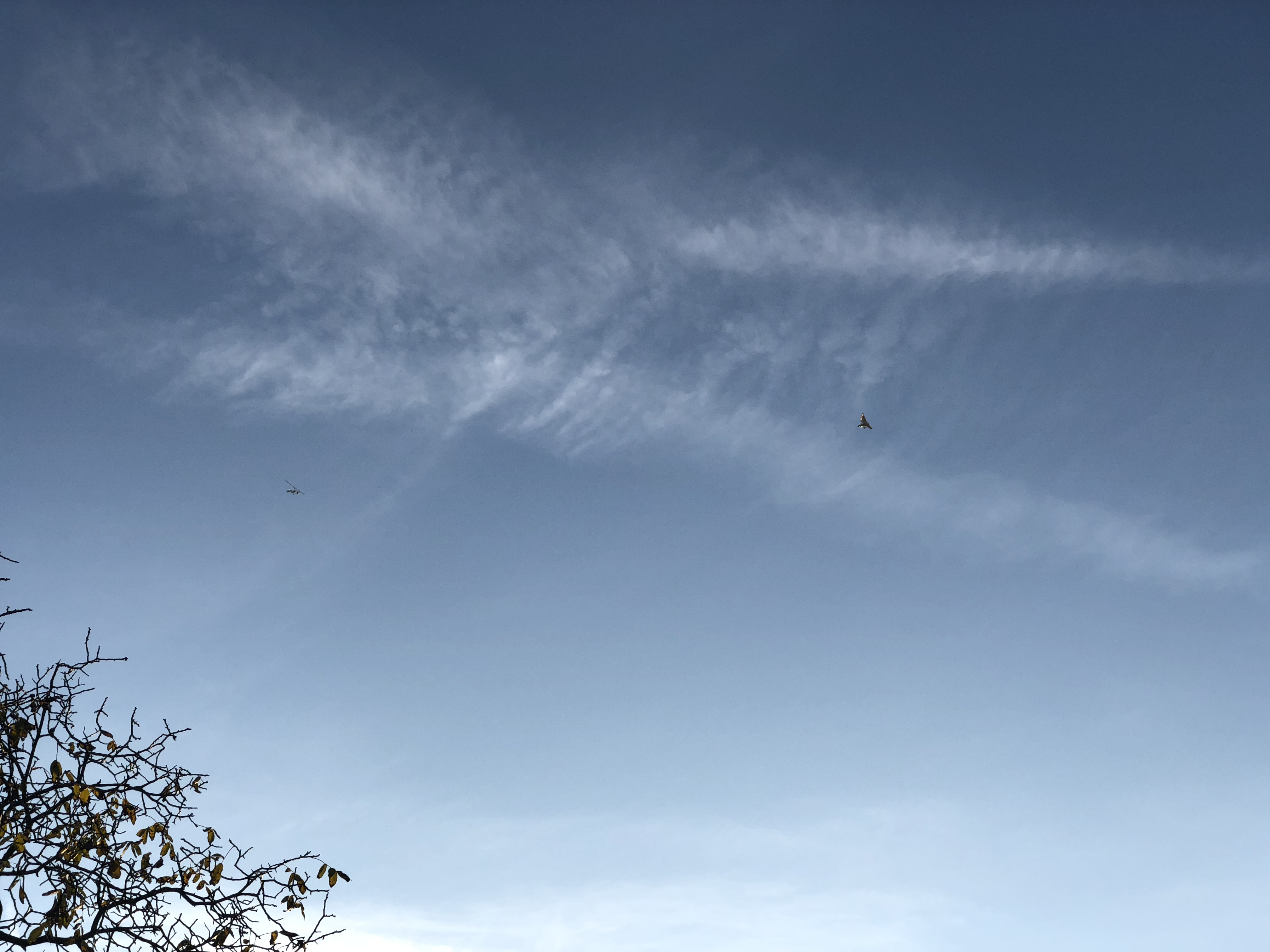 2020.26 Cloud Gone – Rakudo Weekly News